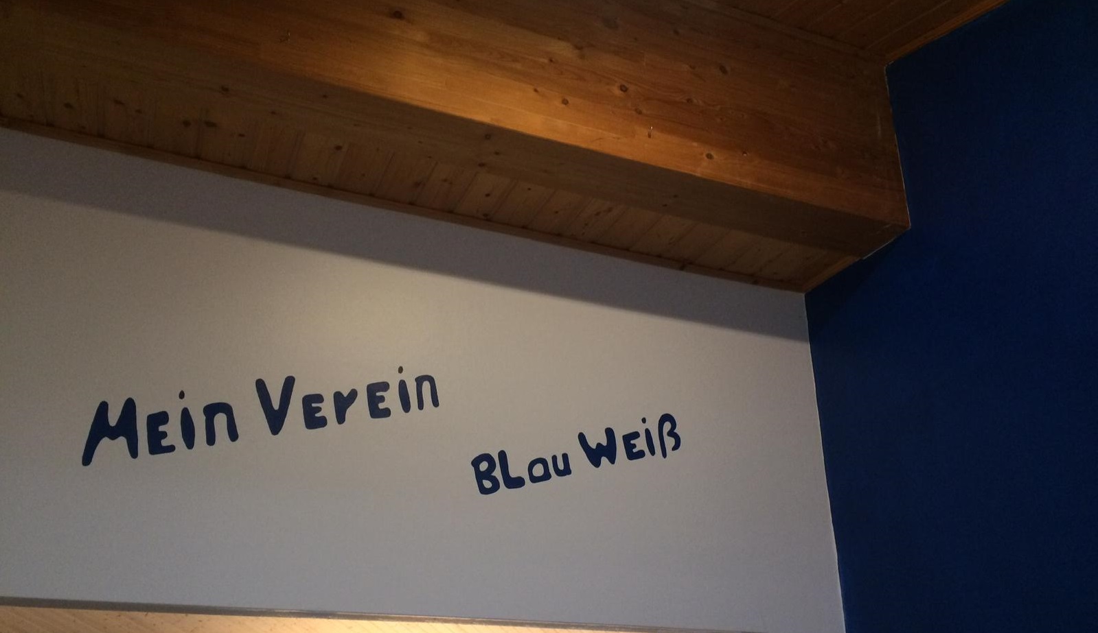 Steckbrief Lisa Bensmann – SV Harderberg 1950 e.V.